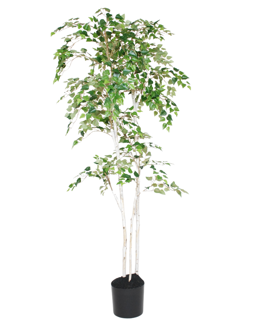 Kunstig "Silver" Bjørk 180cm – ambiplants.no