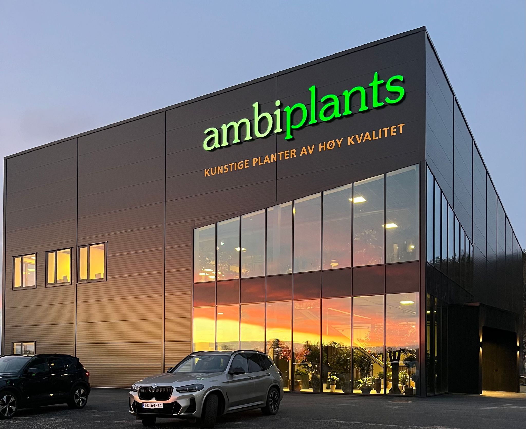 Kunstig Gråtende Piletre 210cm – ambiplants.no