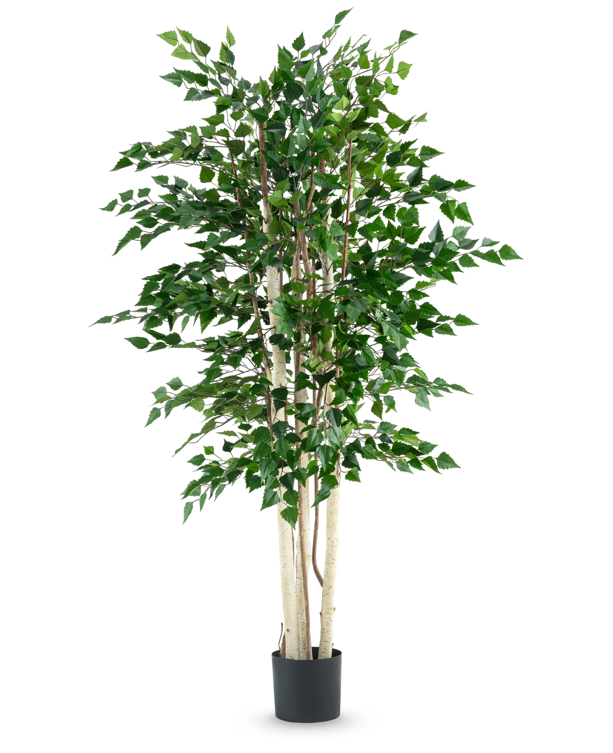 Kunstig Bjørk 180cm – ambiplants.no