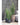 Kunstige uteplanter - Grønne uteplanter hele året – Side – ambiplants.no