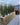 Kunstige uteplanter - Grønne uteplanter hele året – Side – ambiplants.no